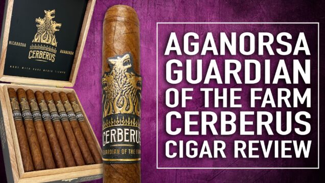 Cigars Daily Plus – Your Online Cigar Club
